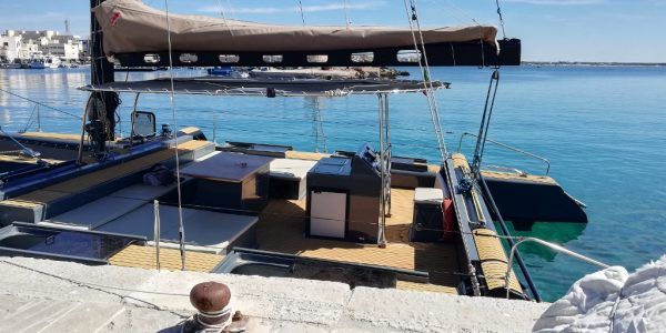 CATAMARAN F40 PINTA (vendu) - Multicoques Consulting