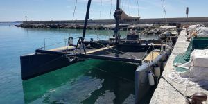 CATAMARAN F40 PINTA (vendu) - Multicoques Consulting