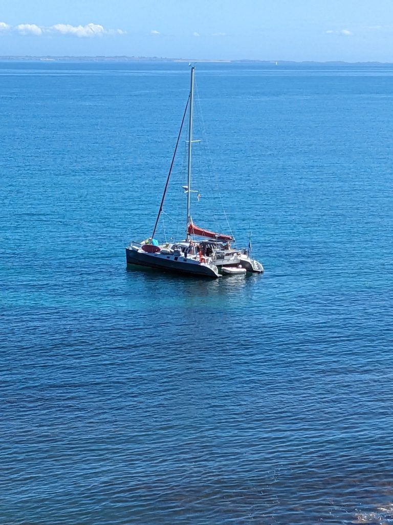 catamaran MUMBY 48 (vente suspendue) - Multicoques Consulting